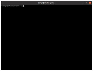 [Easy Method] Install Kitty (Terminal Emulator) on Ubuntu